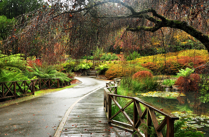 10 Best Places to See Autumn Leaves in Australia (Best Time & Foliage ...