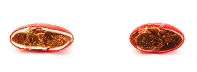 M&M's vs. Smarties vs. Reese's Pieces: Differences and Reviews 2025 ...