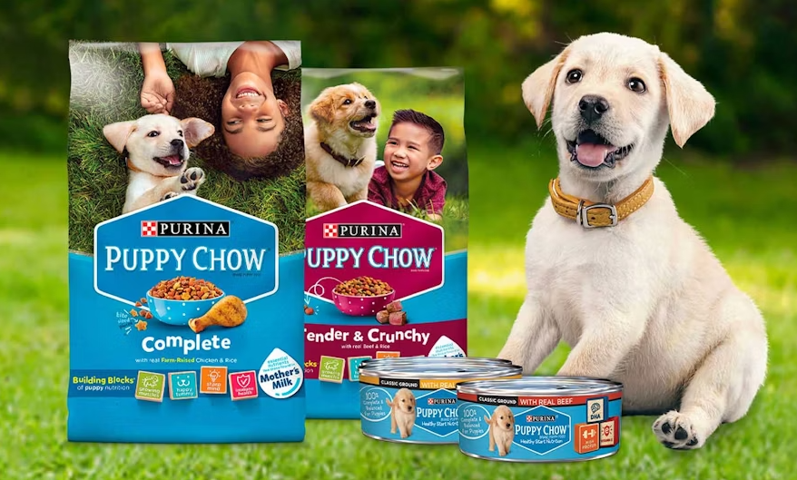 Purina Puppy Chow vs. Pedigree vs. Purina Pro Plan Puppy Food: Which ...
