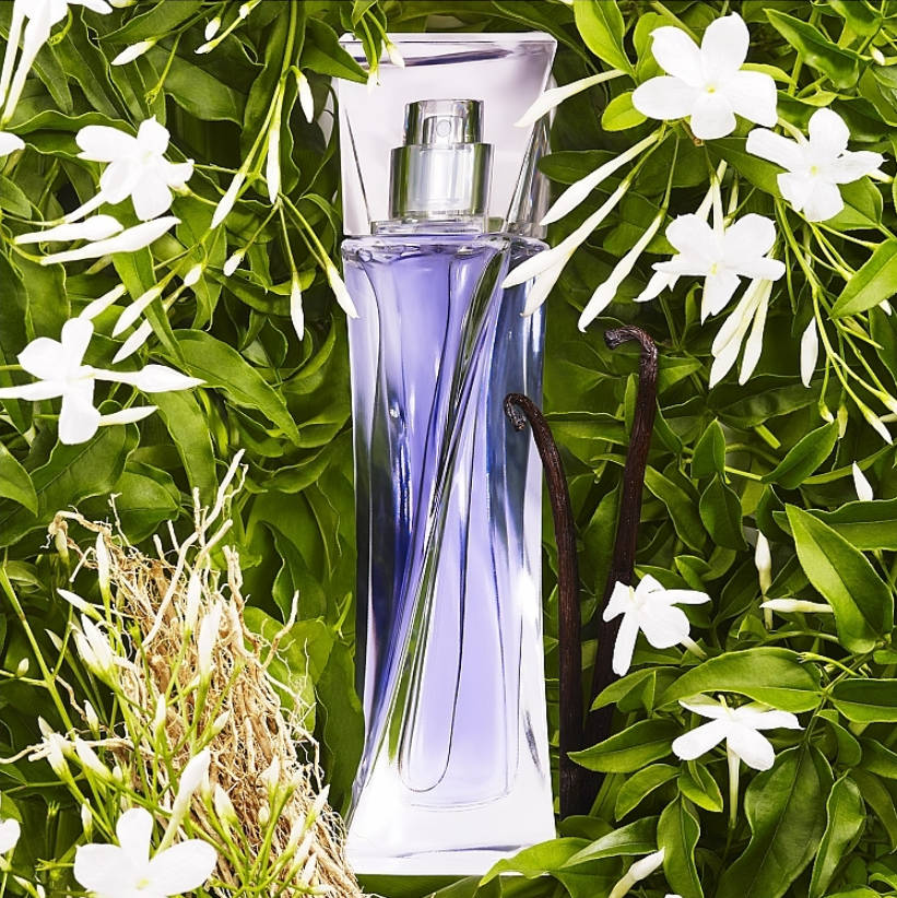 5 Fabulous Perfumes that Smell Like Lancome Hypnose in 2025 - Extrabux